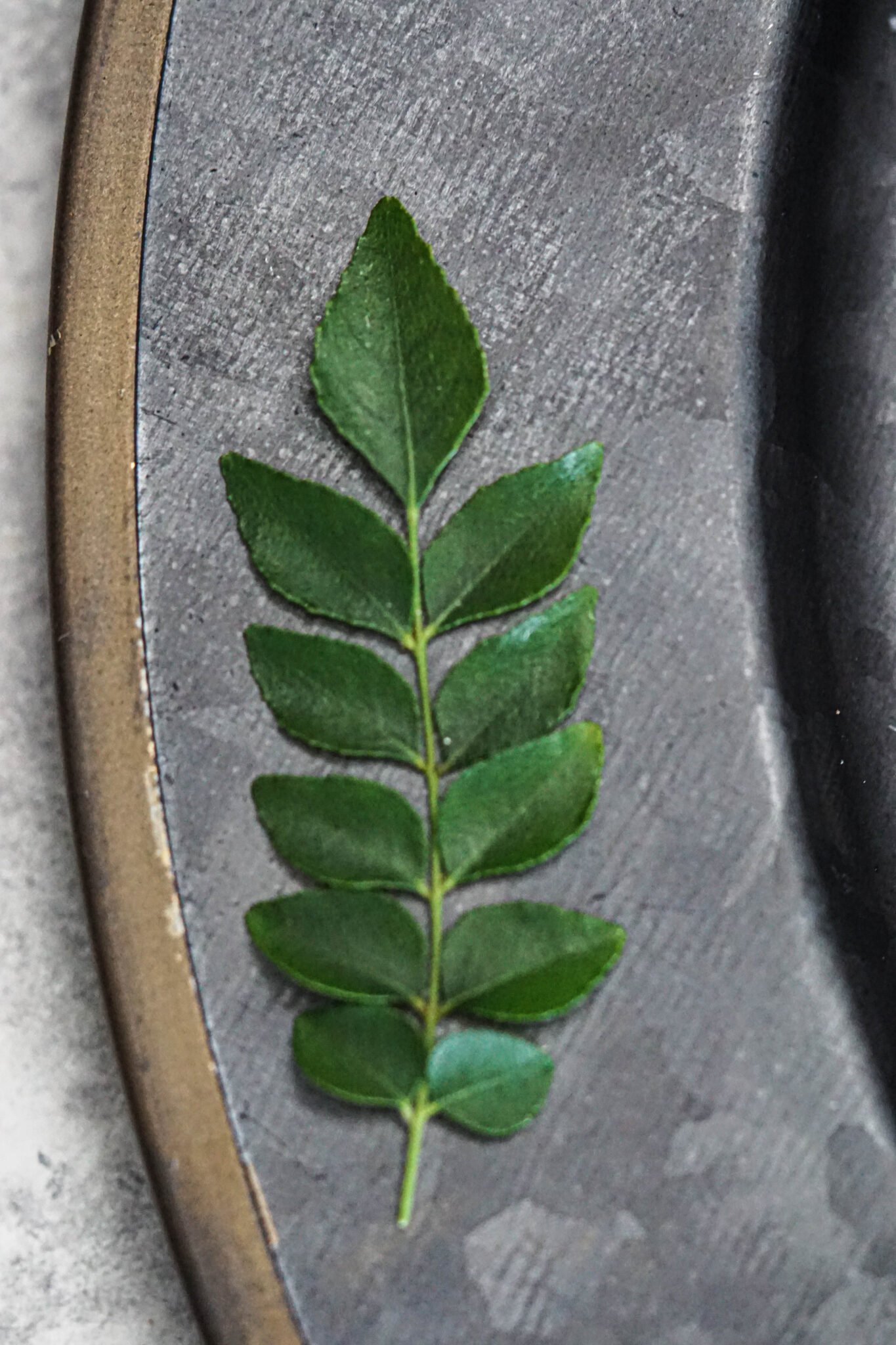 10 Essential Indian Herbs For Indian Cooking - Some Indian Girl