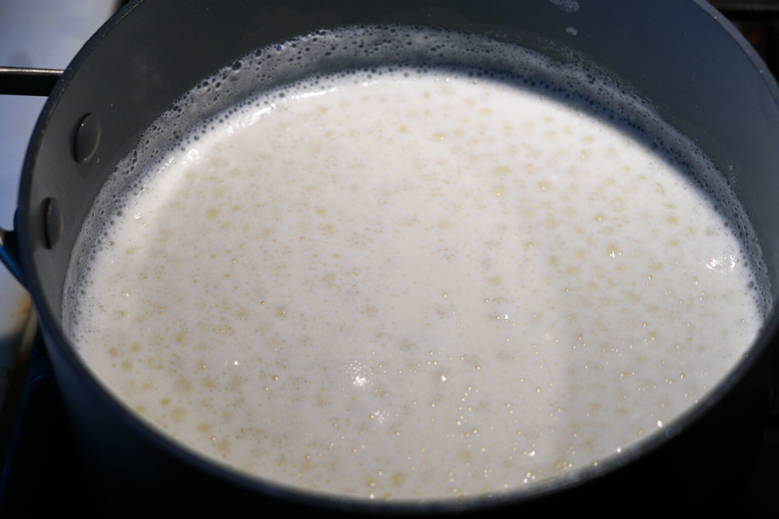 4 Ingredient Creamy Sabudana Kheer Recipe - Some Indian Girl