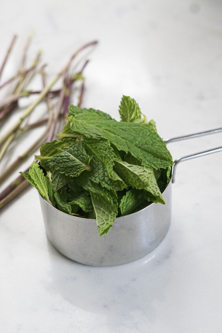 Best Pudina Rice (Mint Rice) - Some Indian Girl