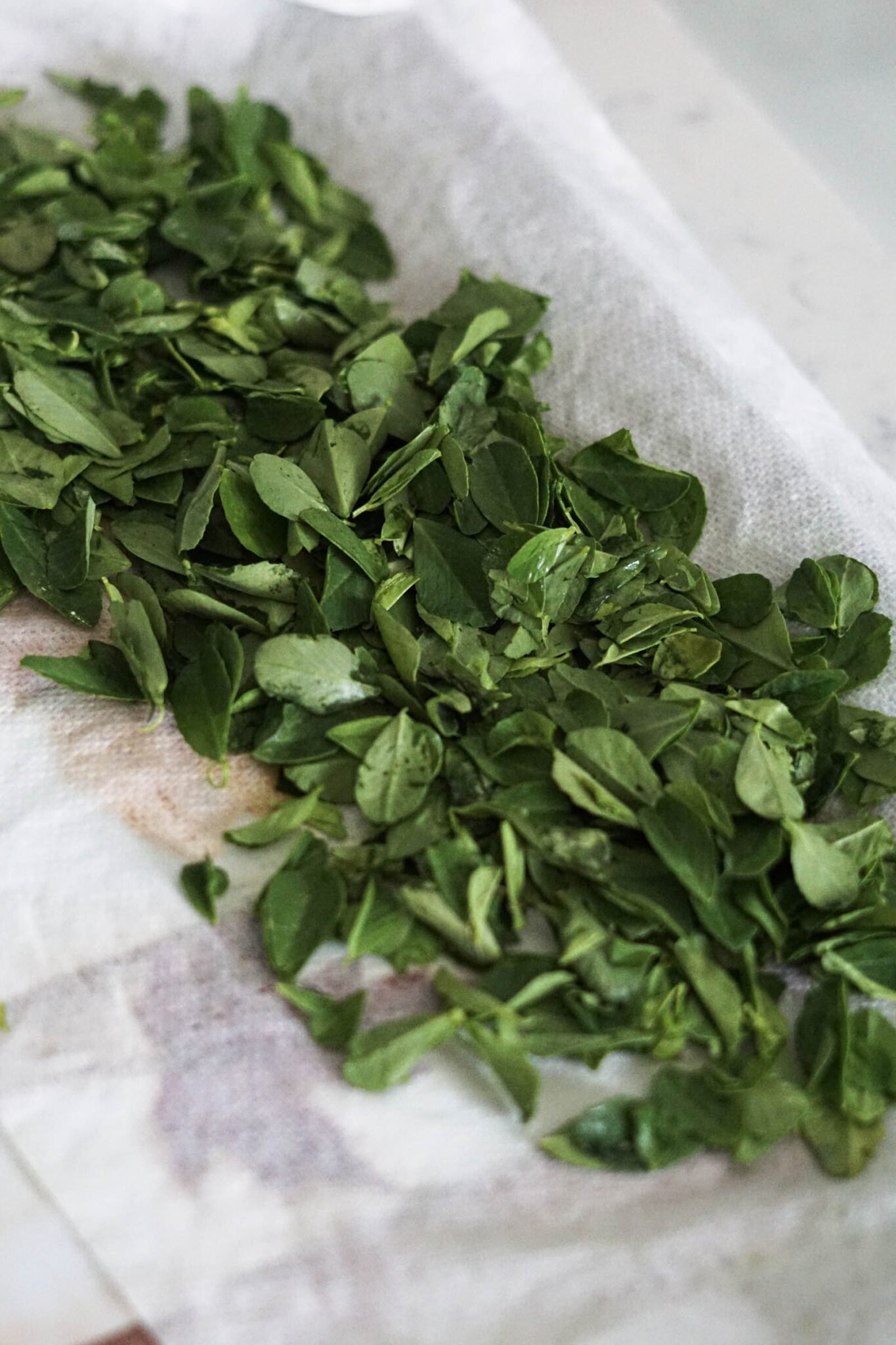 Best Fenugreek Substitute (Leaves, Seeds, Kasoori Methi) - Some Indian Girl